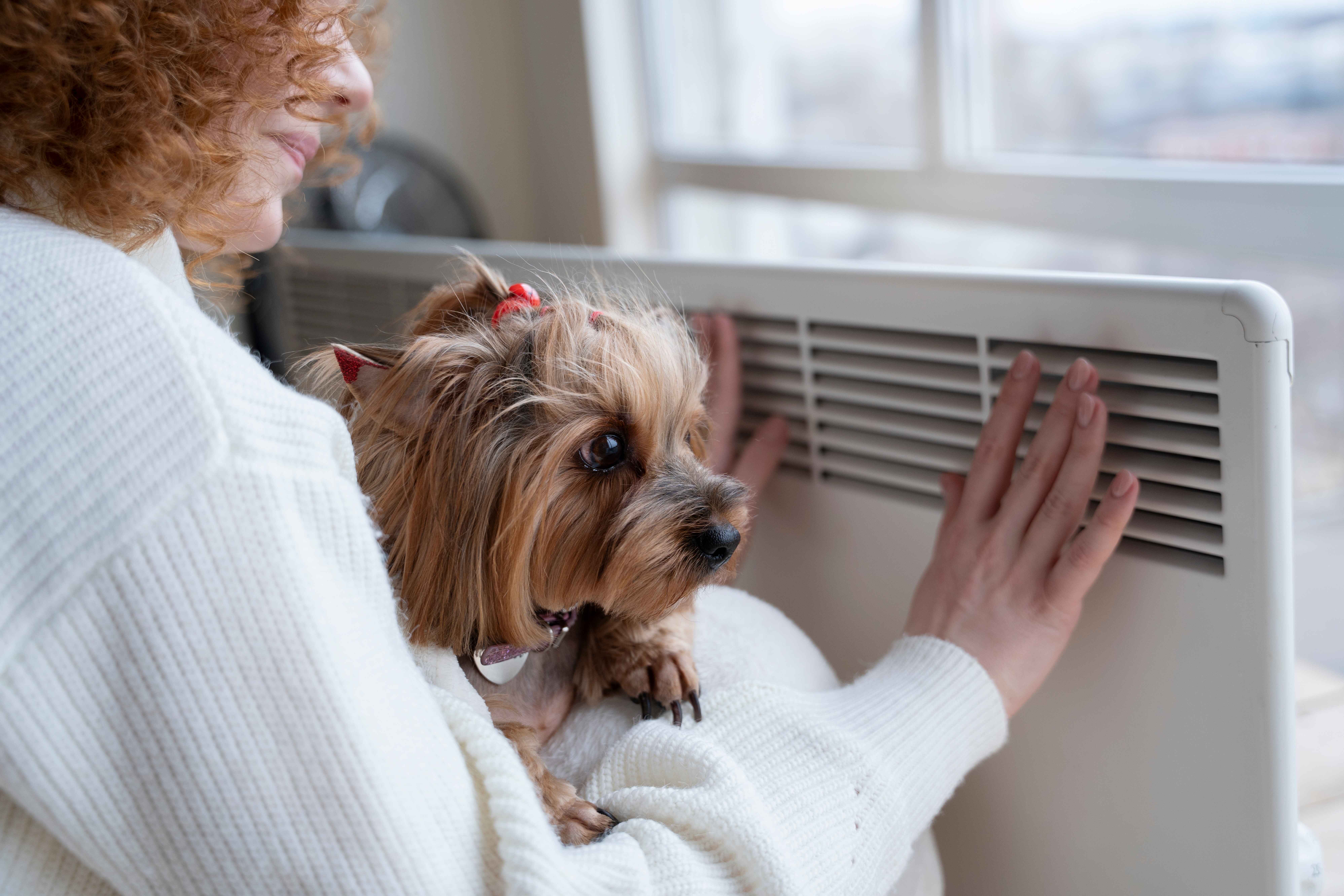 Expert Air Duct Cleaning Services in Roseburg, OR | Call (833) 435-4423